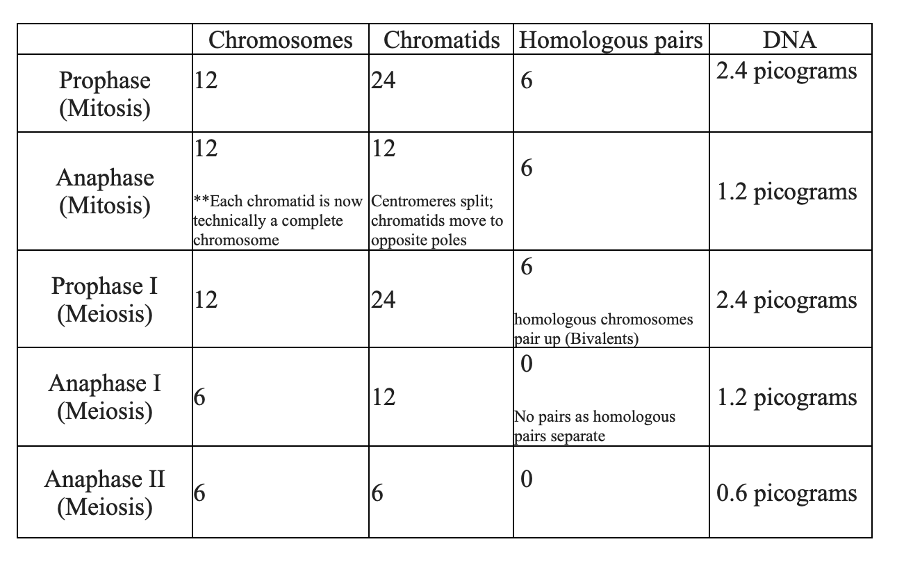 Solved I need help understanding where I am going wrong and | Chegg.com