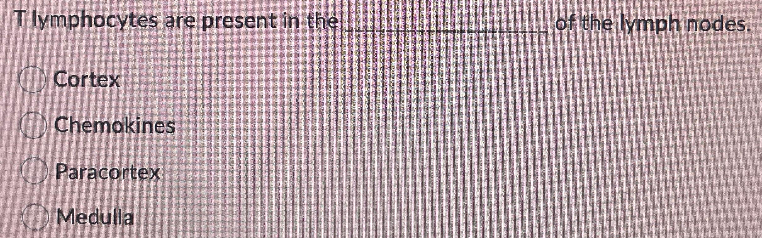 Solved T lymphocytes are present in the of the lymph nodes. | Chegg.com