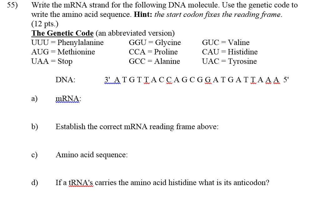 Solved 55 Write The Mrna Strand For The Following Dna