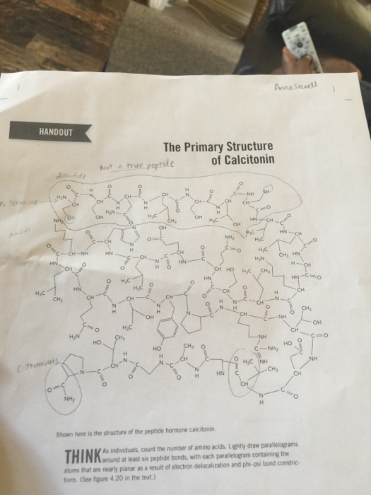 Solved una Save HANDOUT The Primary Structure of Calcitonin | Chegg.com