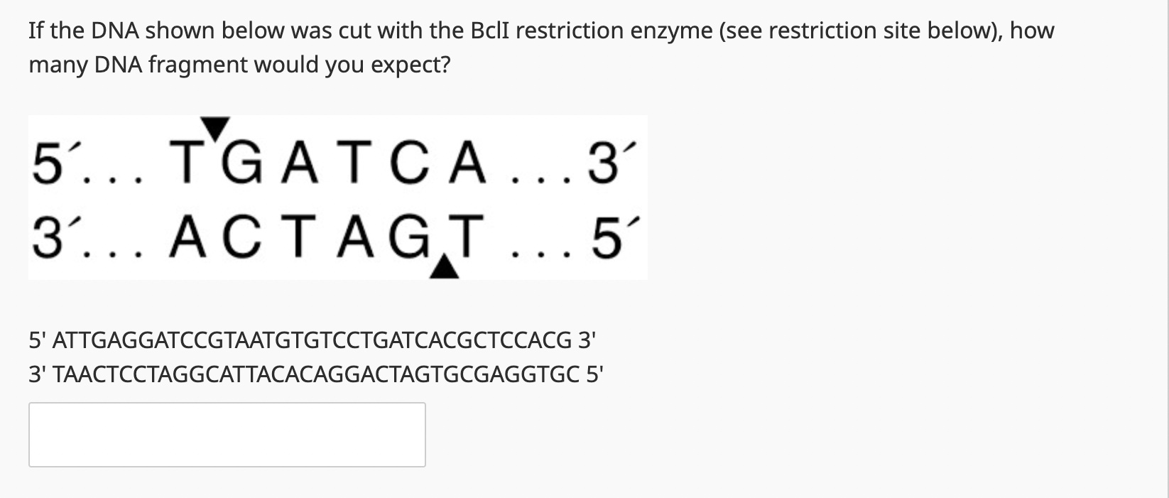 Solved If ﻿the DNA shown below was cut with the BclI | Chegg.com