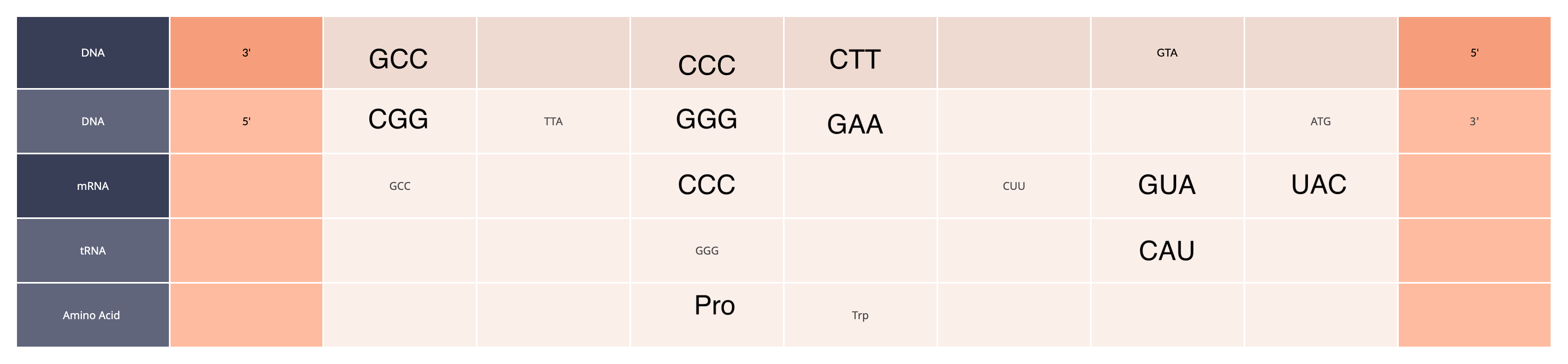 Solved The following table shows the entire coding sequence | Chegg.com