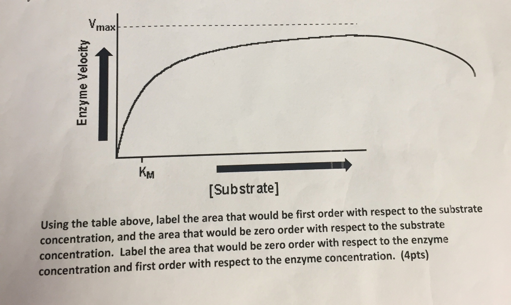 Vmax Enzyme Velocity KM [Substrate] Using the table | Chegg.com