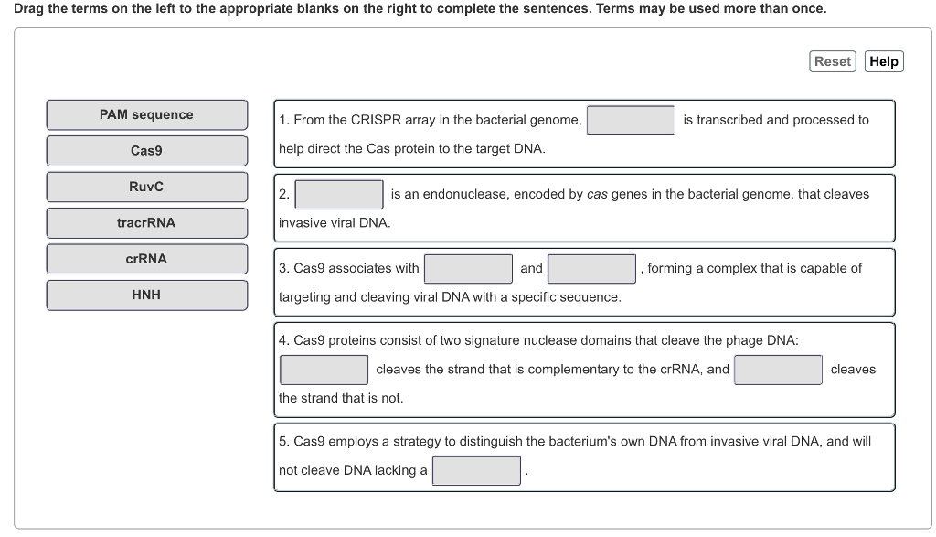 Solved Part C CRISPR-Cas9: Focus on DNA Interference You | Chegg.com