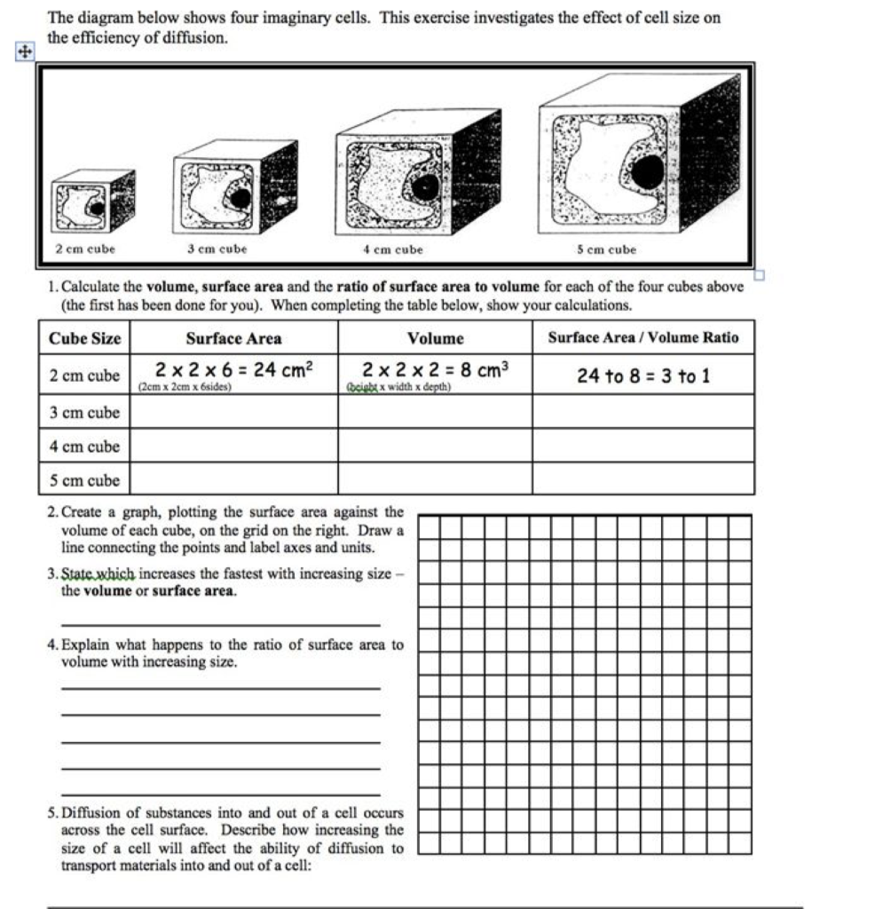 Solved The diagram below shows four imaginary cells. This | Chegg.com
