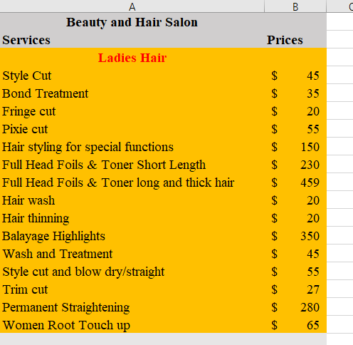 Appendix 1: Beauty and Hair Salon Background Alison | Chegg.com
