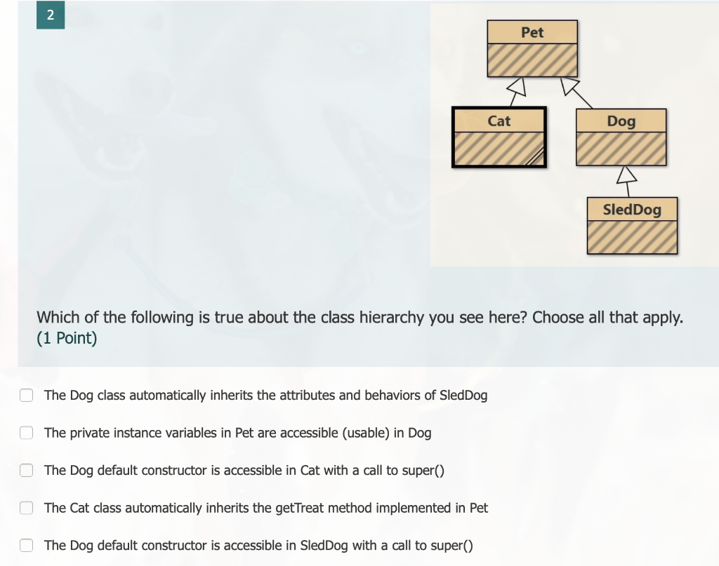 Solved Pet Cat Dog Sled Dog Given this class hierarchy, | Chegg.com