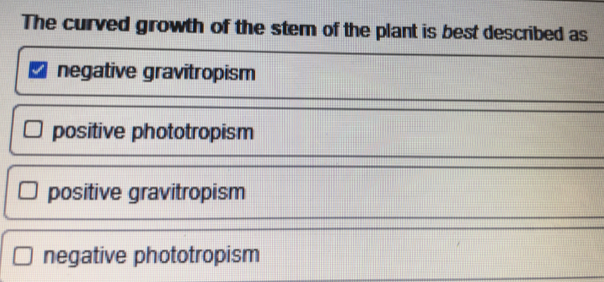 Solved The curved growth of the stem of the plant is best | Chegg.com