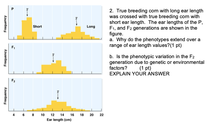 Solved 2. True breeding corn with long ear length was | Chegg.com