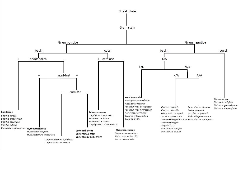 Solved Hello, I need help with the Flowchart, I don't know | Chegg.com
