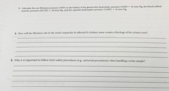 Solved QUESTIONS 1-6: Match the term in column A with the | Chegg.com