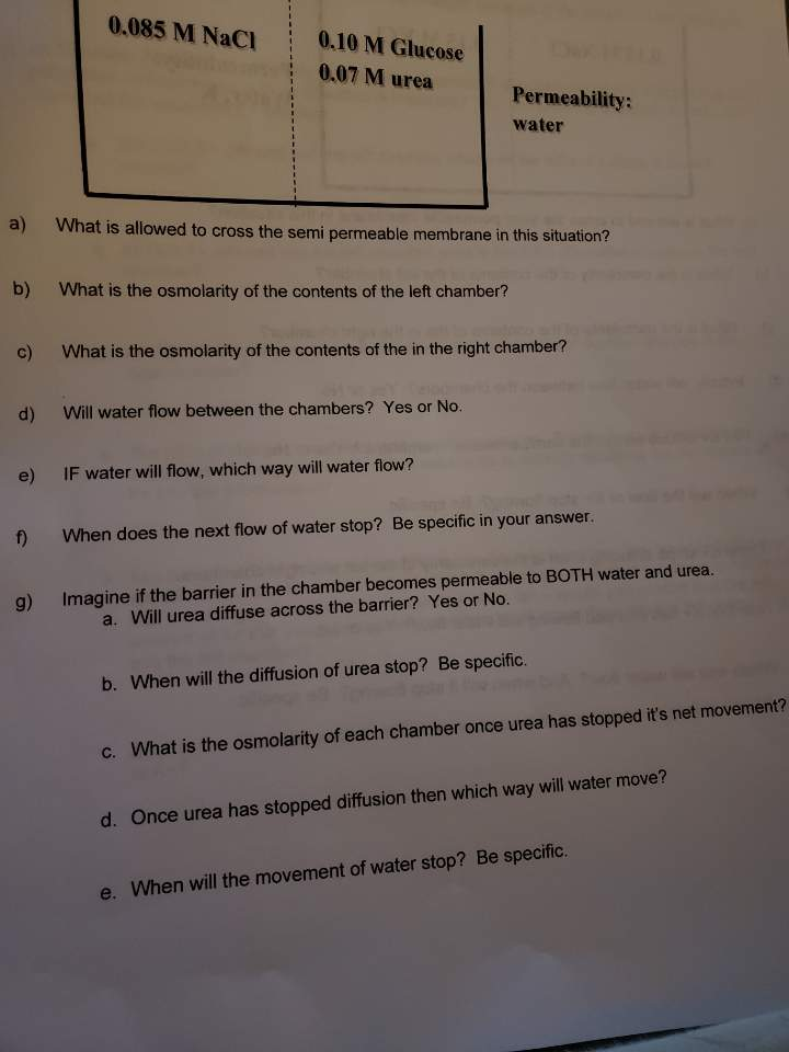 Solved Given TWO chambers separated in the middle by a | Chegg.com