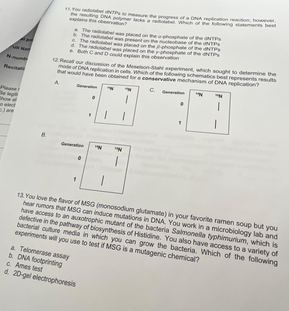 Solved 11. You radiolabel dNTPs to measure the progress of a | Chegg.com