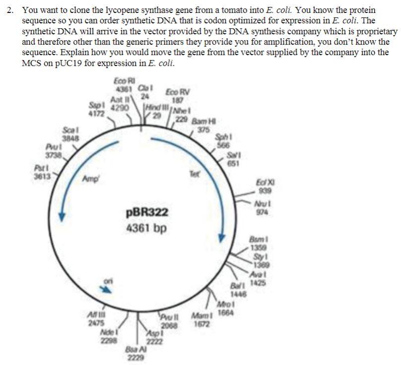 Solved 2. You want to clone the lycopene synthase gene from | Chegg.com