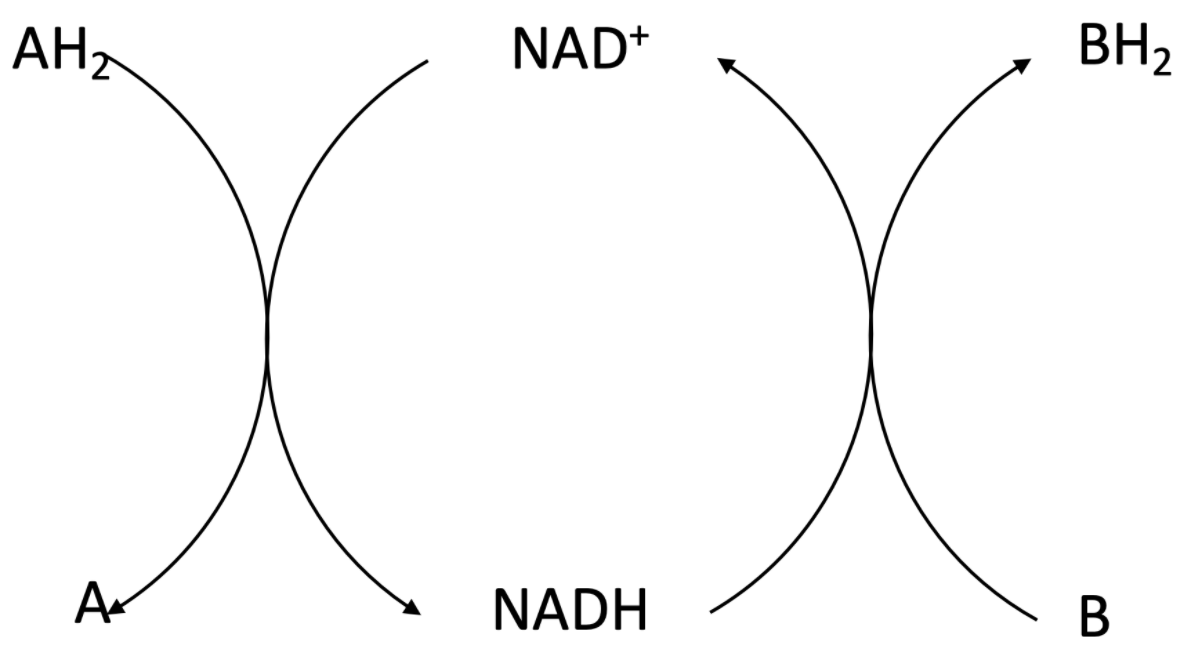 Solved The following diagram depicts a series of redox | Chegg.com