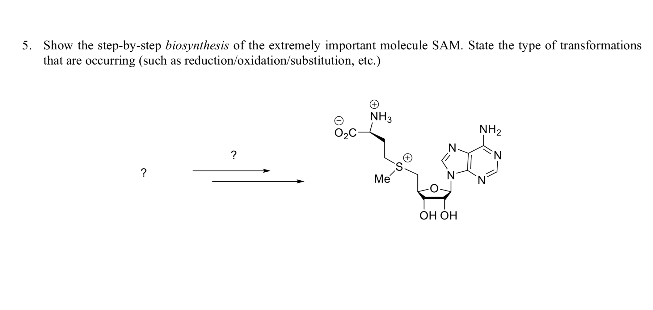 Solved 5. Show the step-by-step biosynthesis of the | Chegg.com