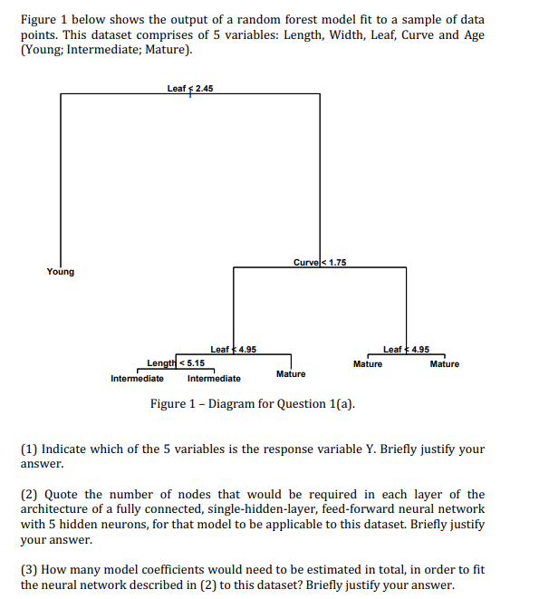 Figure 1 below shows the output of a random forest | Chegg.com