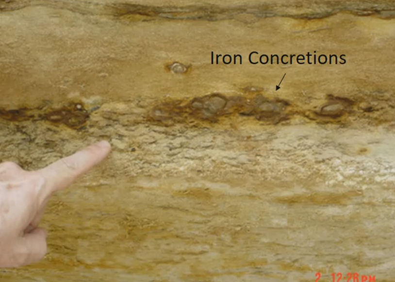 Solved Next, note the interbedded layers of sandstone that | Chegg.com