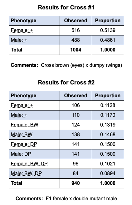 Solved Cross brown (eyes) x dumpy (wings); then do | Chegg.com