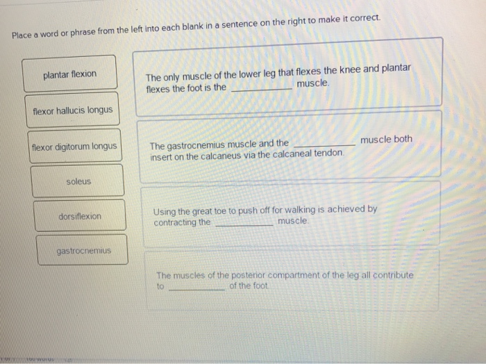 Solved Place a word or phrase from the left into each blank | Chegg.com