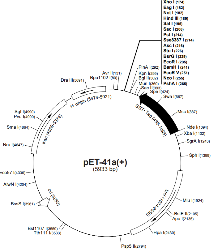 Let’s say that you decide to use XbaI and NdeI as | Chegg.com