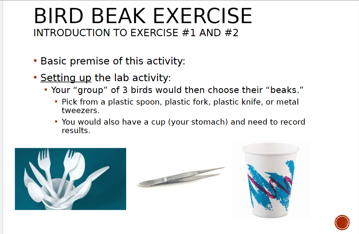 NATURAL SELECTION - Bird Beaks vs Seed Type Data | Chegg.com