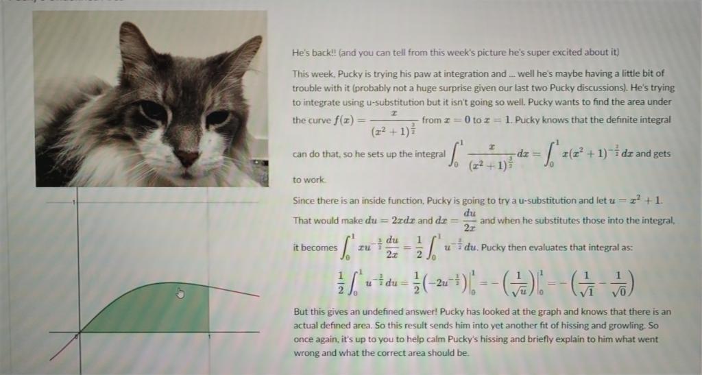 Solved Question: Explain what went wrong with the equation | Chegg.com