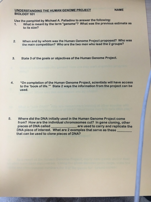 NAME UNDERSTANDING THE HUMAN GENOME PROJECT BIOLOGY | Chegg.com