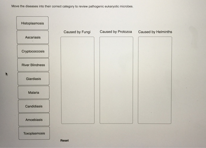 Solved Move the diseases into their correct category to | Chegg.com