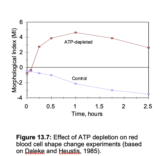 Please Answer Questions 1-6. Case 13- A “Flippase” | Chegg.com