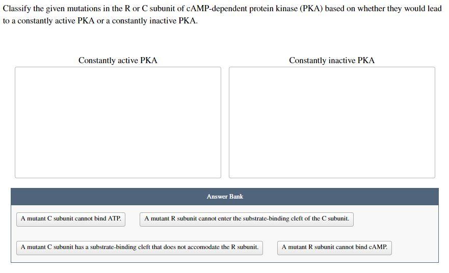 Solved Classify the given mutations in the R or C subunit of | Chegg.com