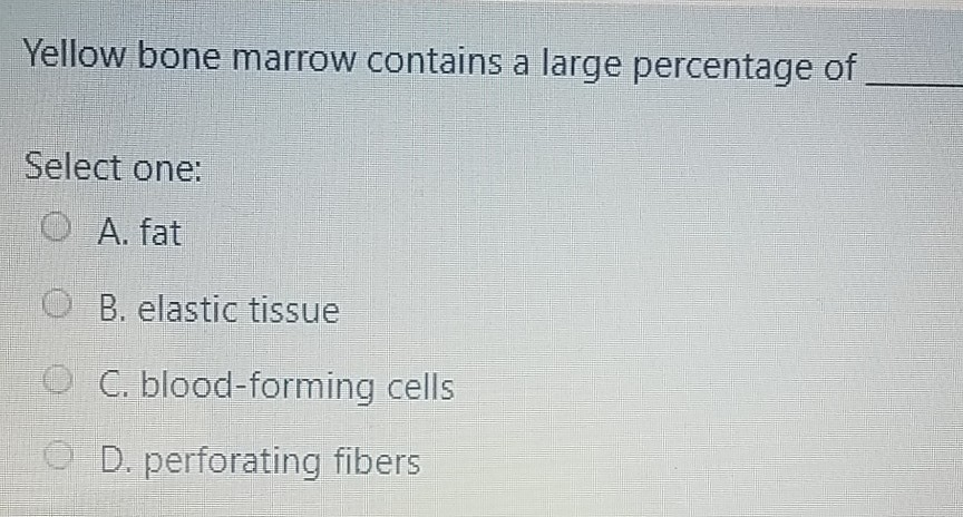 Solved Yellow bone marrow contains a large percentage of | Chegg.com