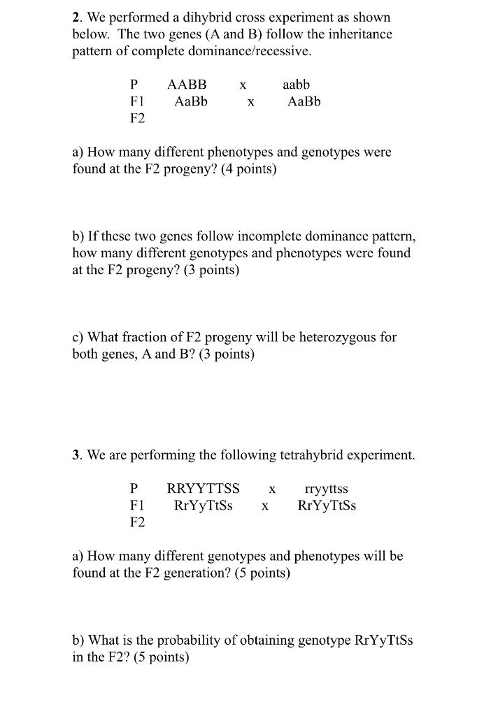 Solved 2. We performed a dihybrid cross experiment as shown | Chegg.com
