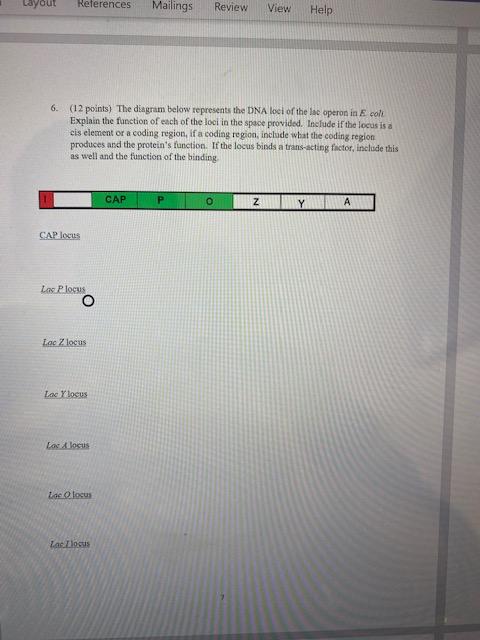 Solved Layout References Mailings Review View Help 6. (12 | Chegg.com