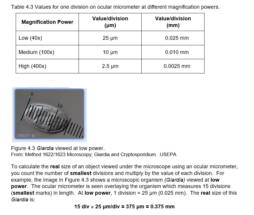 Solved Table 4.3 Values for one division on ocular | Chegg.com