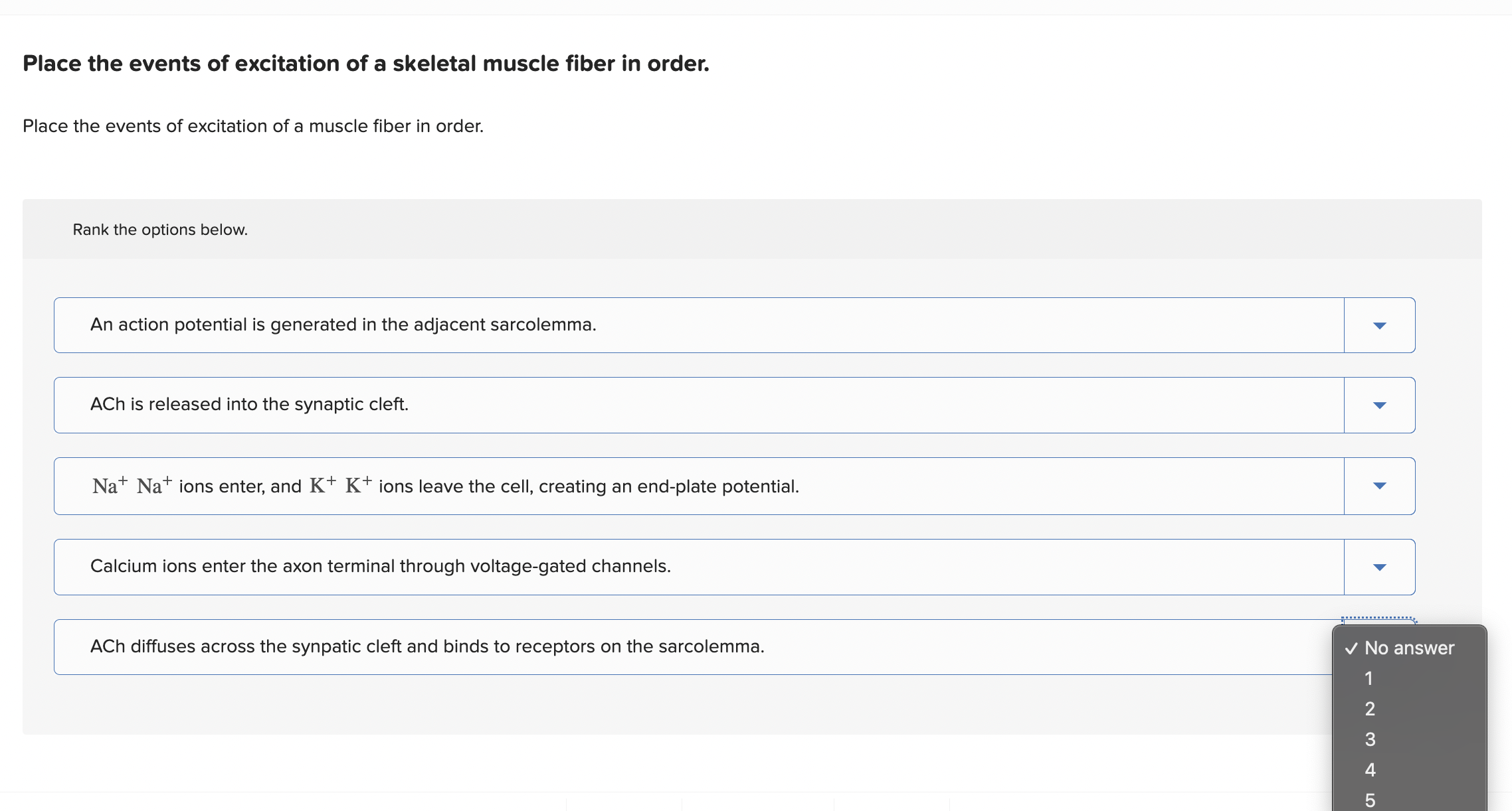 Solved Place the events of excitation of a skeletal muscle | Chegg.com