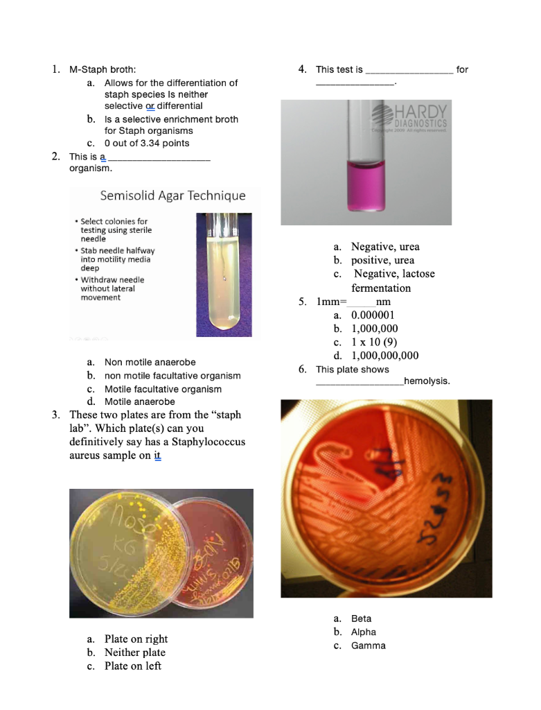 Solved 4. This test is for 1. M-Staph broth: a. Allows for | Chegg.com