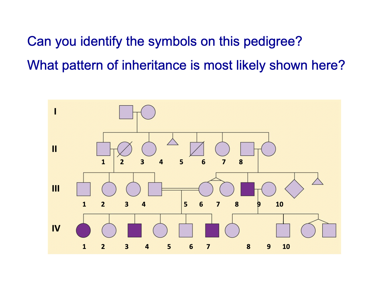Solved Can you identify the symbols on this pedigree? What | Chegg.com