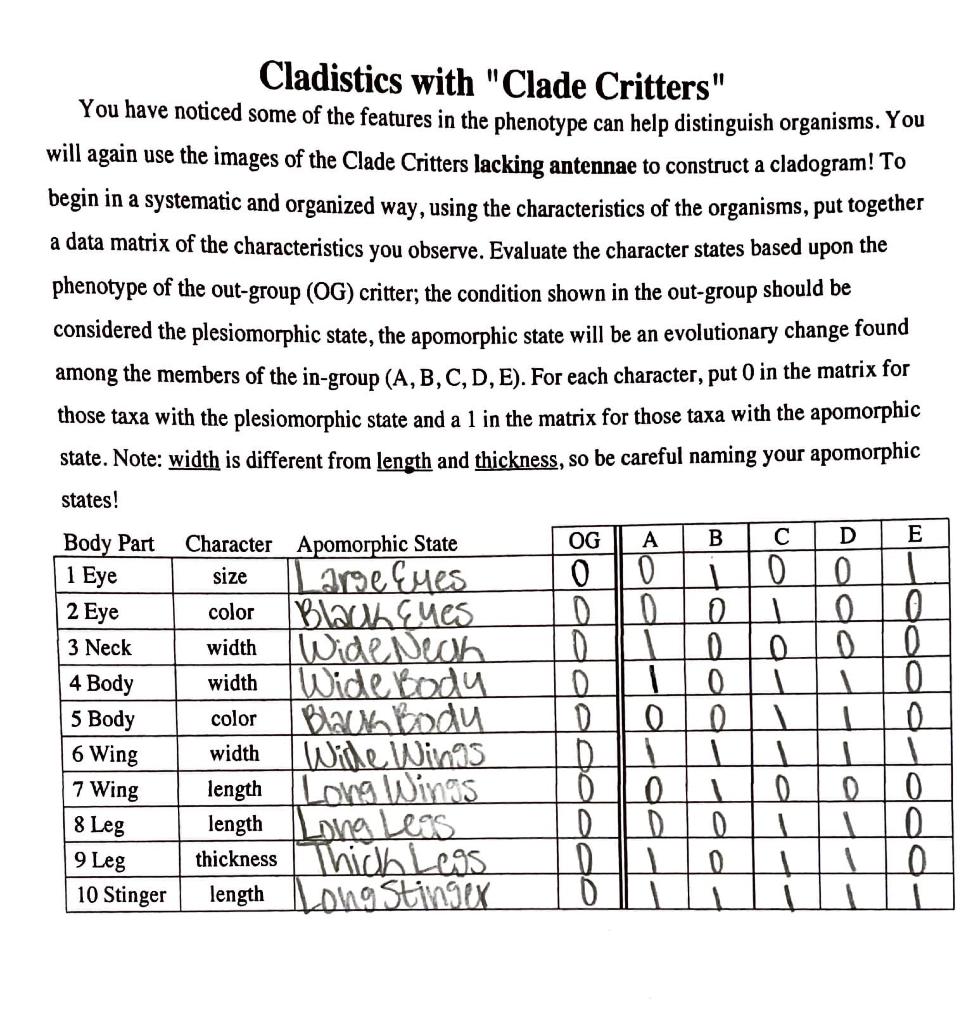 Solved Construct a parsimonious cladogram for the 5 ingroup | Chegg.com