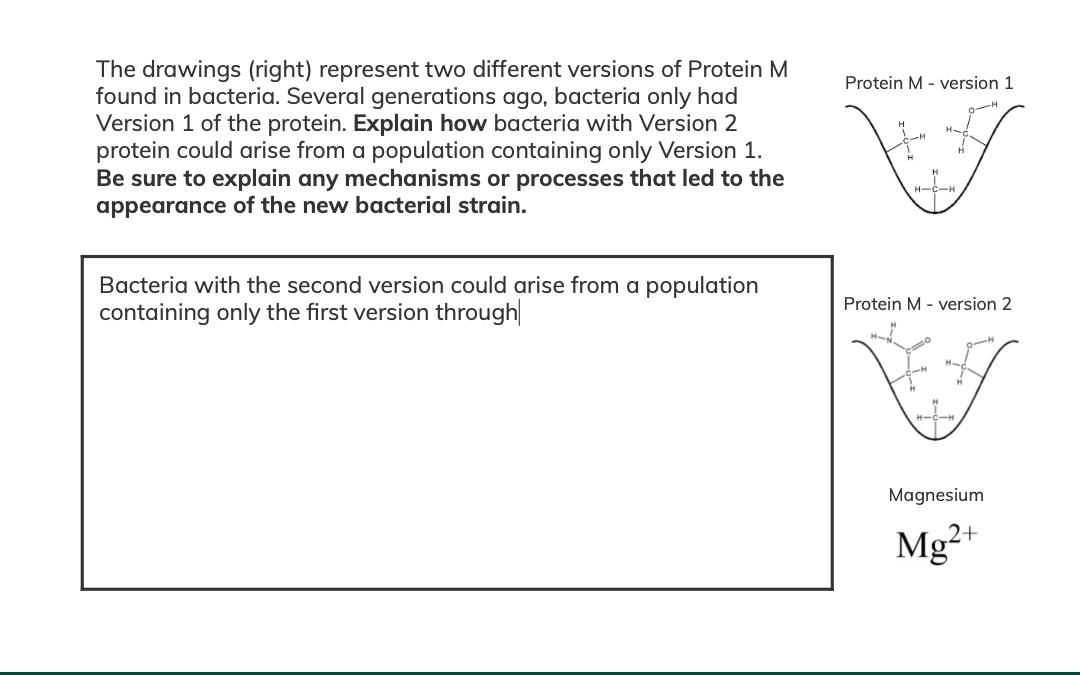 Protein M - version 1 The drawings (right) represent | Chegg.com