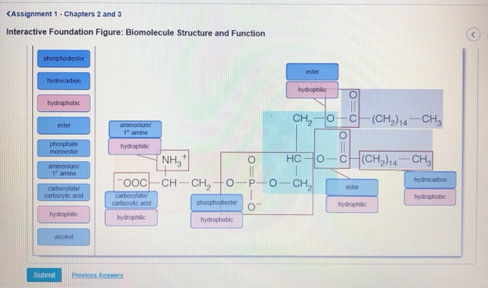 Solved Assignment 1 - Chapters 2 and 3 Interactive | Chegg.com