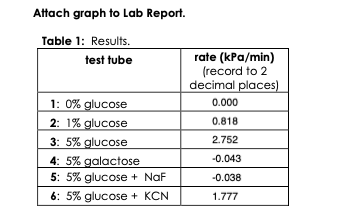 Solved NaF is the enzyme inhibitor in tube 5. Did any | Chegg.com