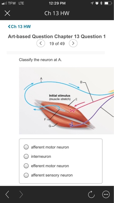 Solved TFW LTE 12:29 PM Ch 13 HW | Chegg.com Solved TFW LTE 12:29 PM Ch 13 HW | Chegg.com