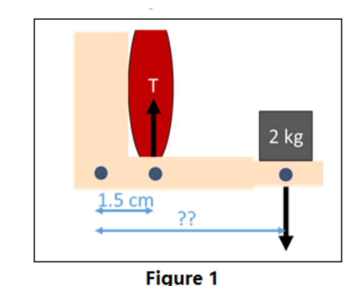 Solved Problem 4: Figure 1 above shows an individual lifting | Chegg.com