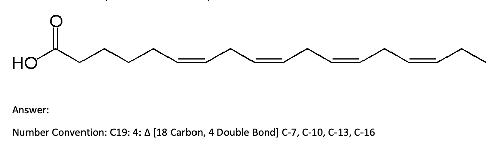 Solved What is the ω (omega) numbering of the double bonds | Chegg.com