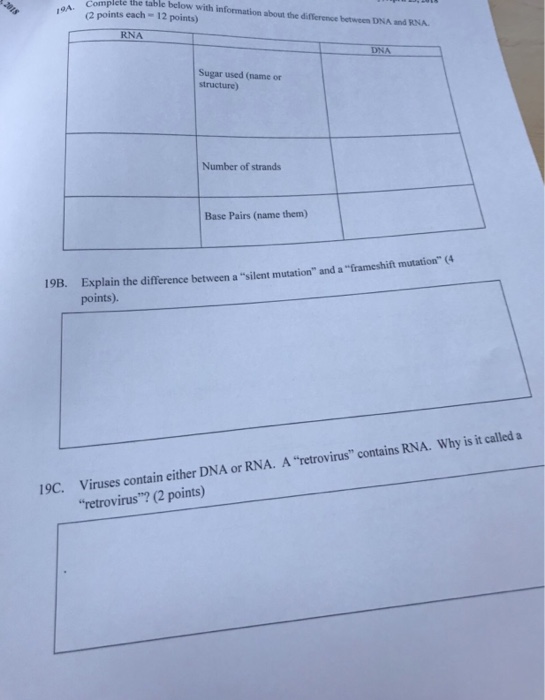 Solved 19A, 19B, and 19C please! Thanks | Chegg.com