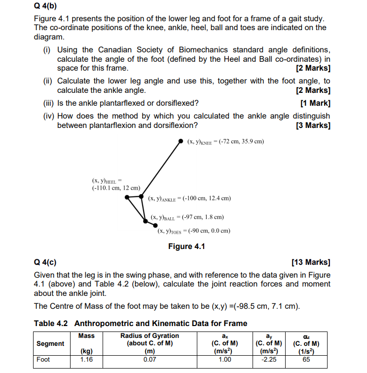 Solved Figure 4.1 presents the position of the lower leg and | Chegg.com