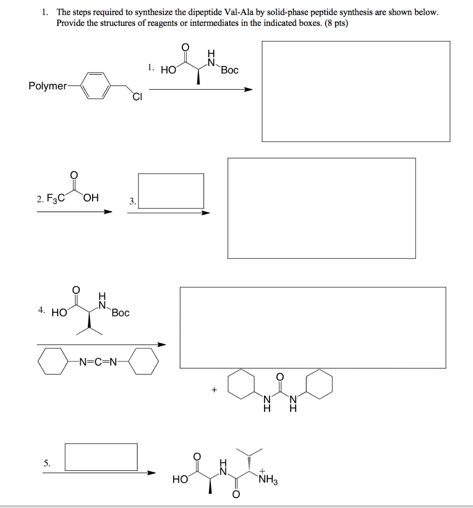 Solved 1. The steps required to synthesize the dipeptide | Chegg.com