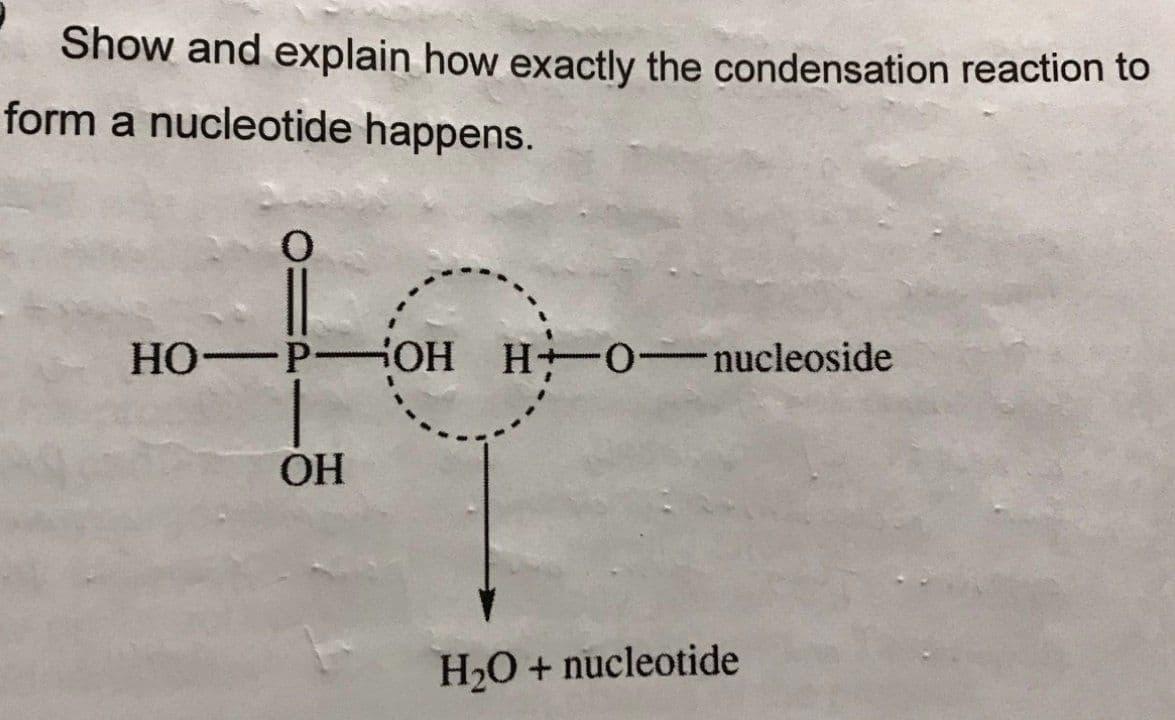 Solved Show and explain how exactly the condensation | Chegg.com