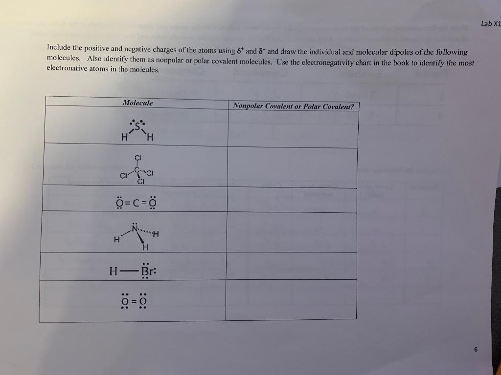 Solved Include the positive and negative charges of the | Chegg.com